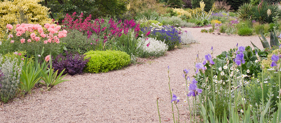 Designing an Ornamental Garden: A Guide to Transform Your Outdoor Space